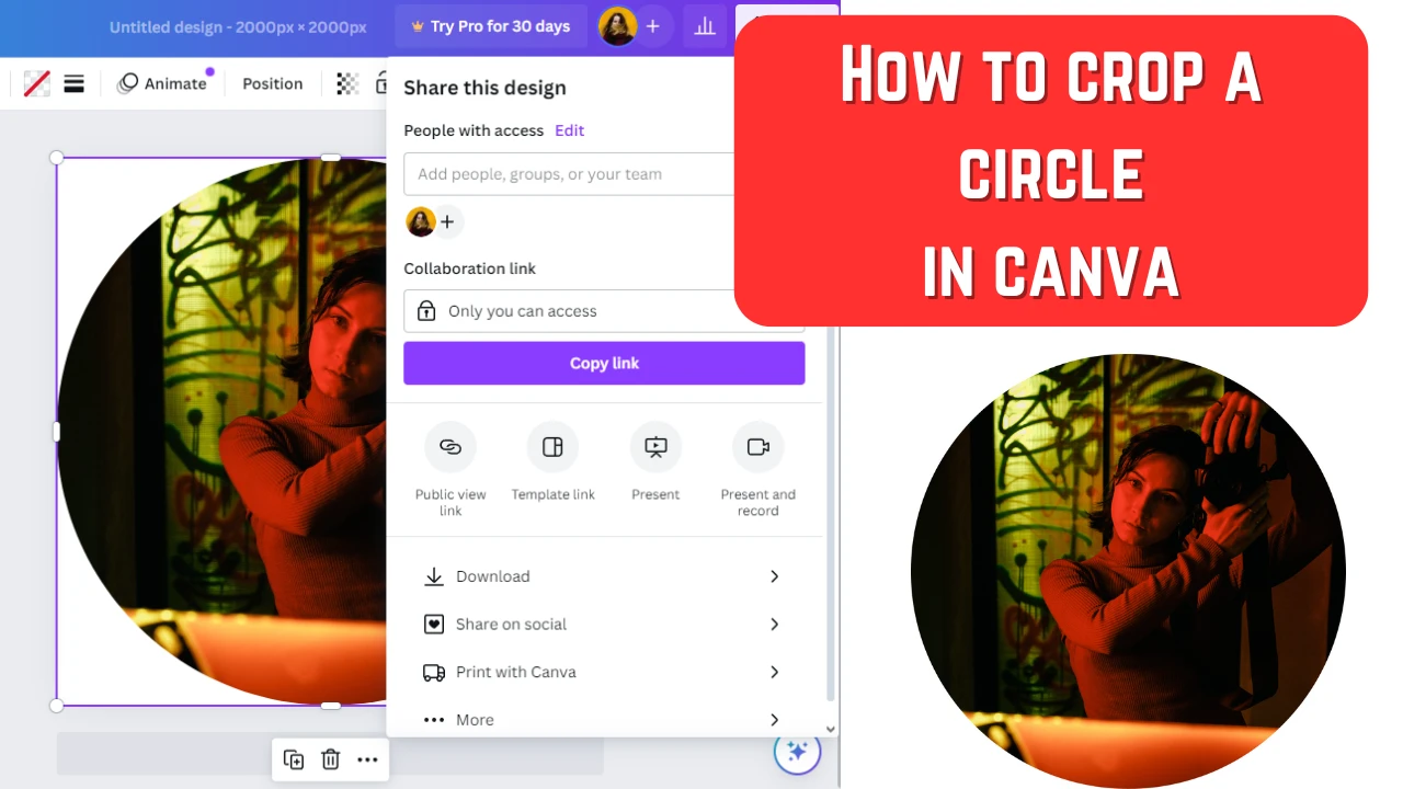 How To Circle Crop In Canva Watermarkly Blog