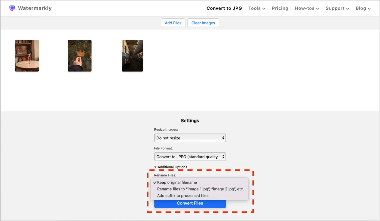 Convert RAW To JPG Free Online Converter Watermarkly Convert RAW To JPG Free Online Converter Watermarkly