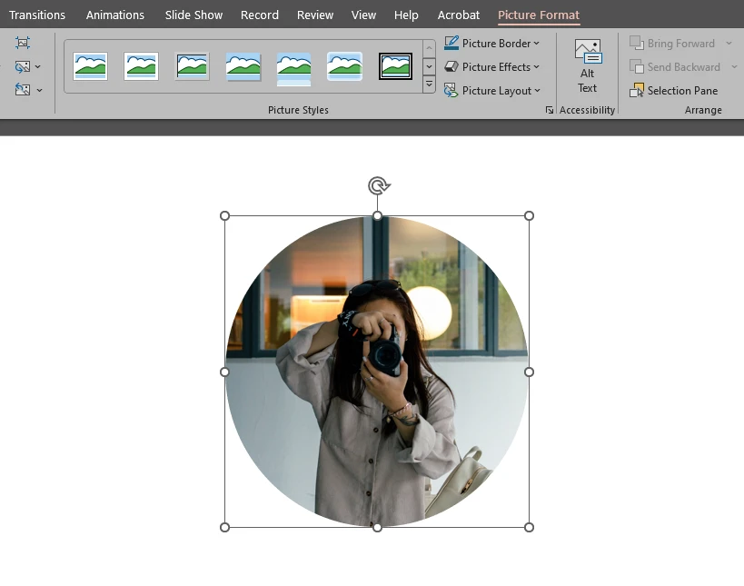 Wie Man Ein Bild In PowerPoint Rund Zuschneidet