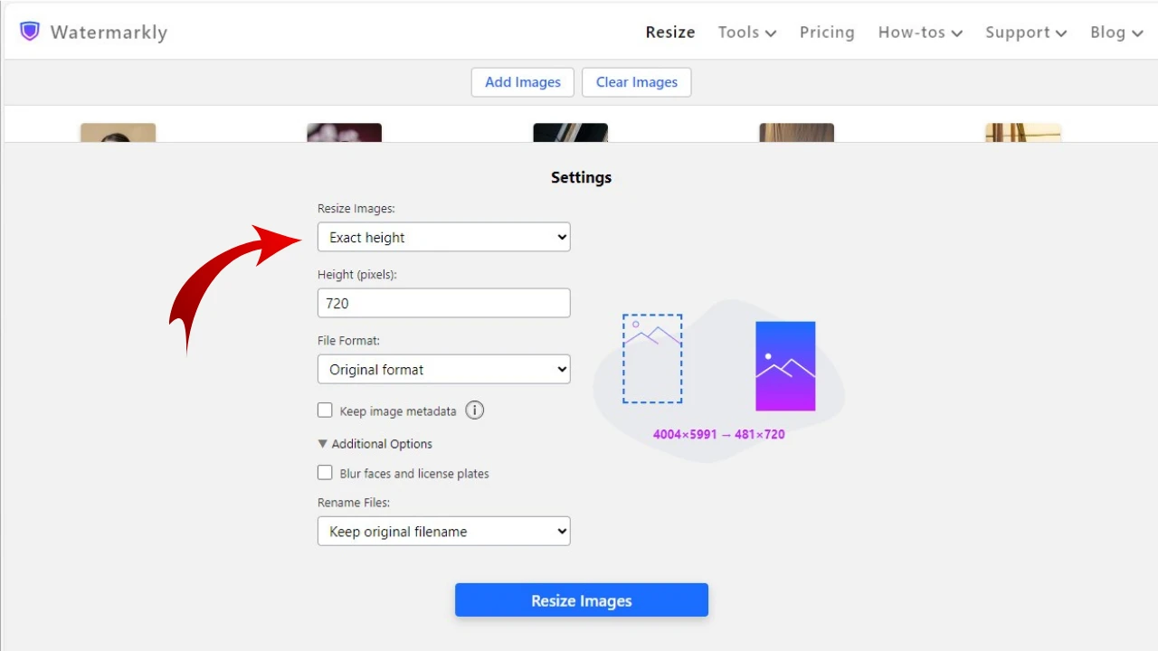 How To Resize An Image Without Losing Quality Watermarkly